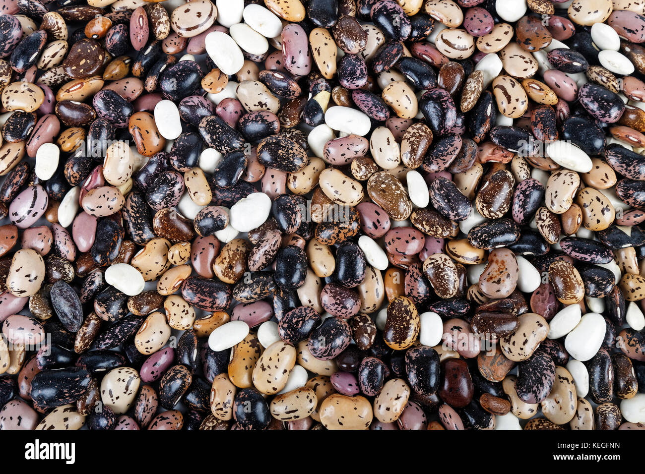 pile of pinto beans background, studio shot Stock Photo - Alamy