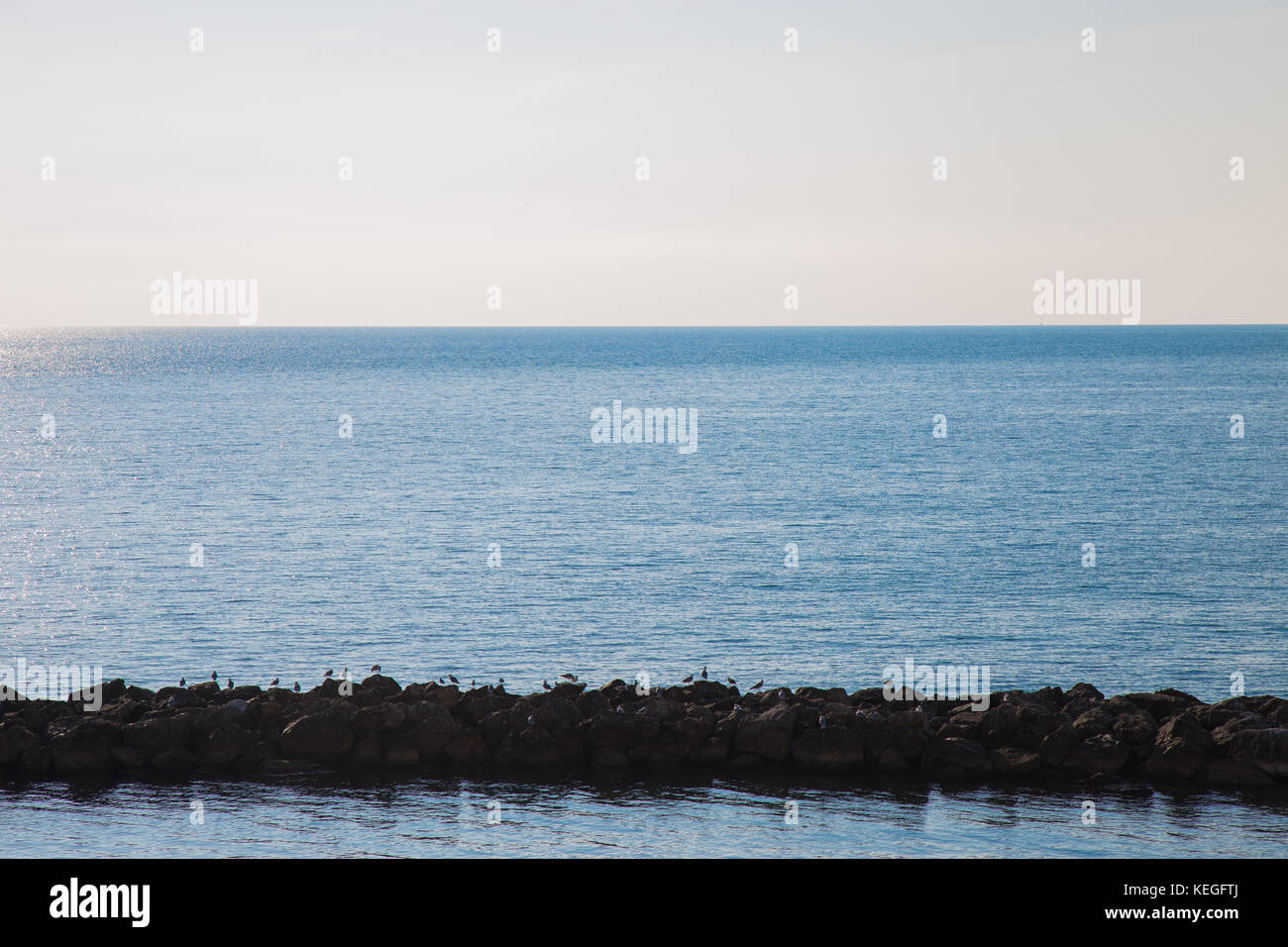 Reef safe hi-res stock photography and images - Alamy