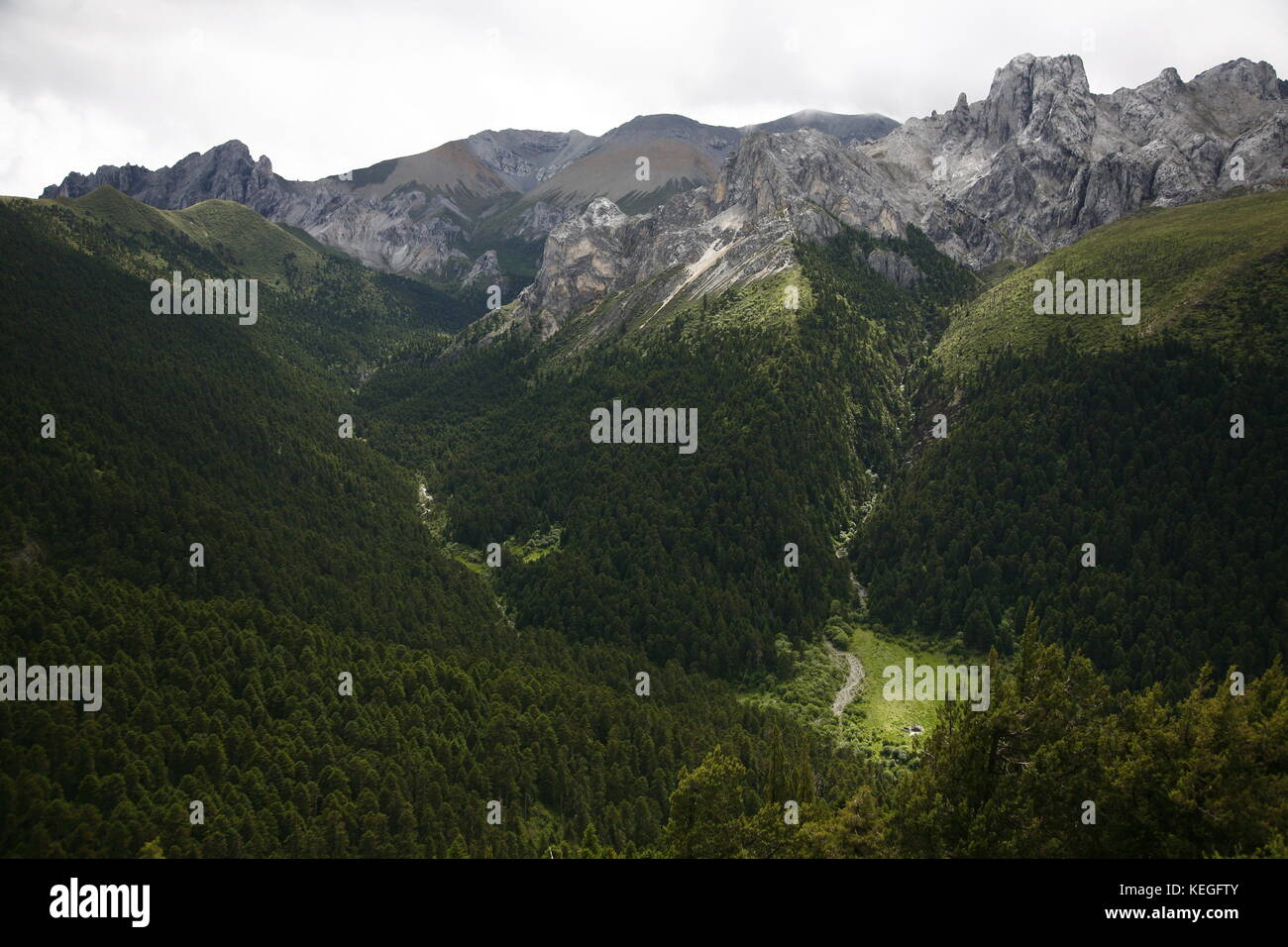 Shangri La before the fire Stock Photo - Alamy