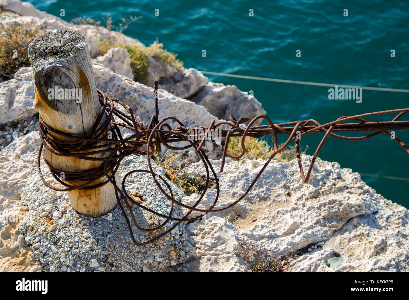 Tied to stake hi-res stock photography and images - Alamy
