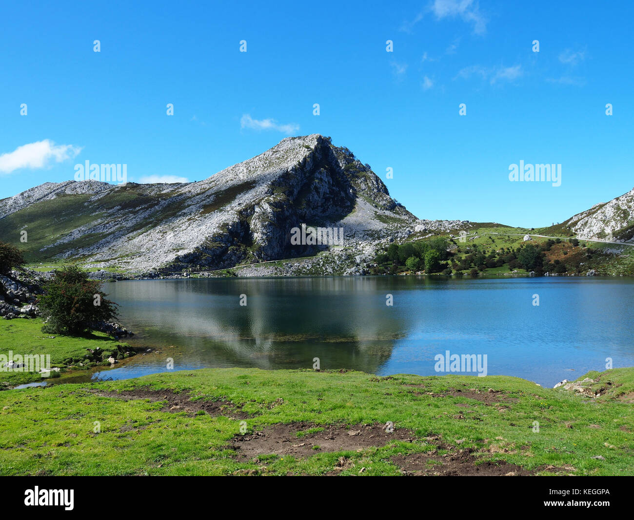 View of Lake Enol at Lakes of Covadonga in Asturias, Spain Stock Photo ...