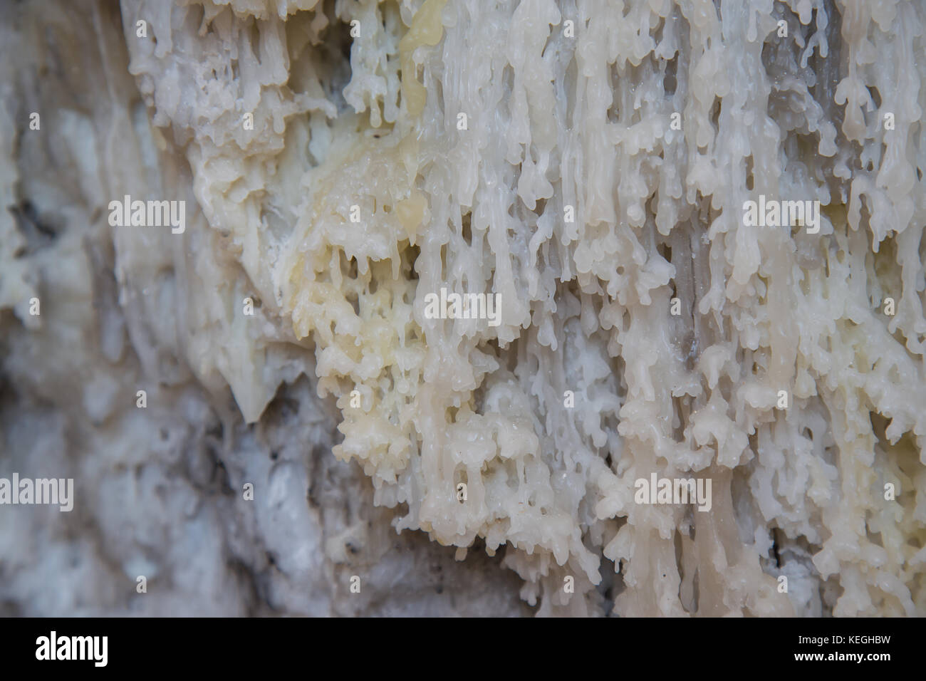 Detail of dripping wax melted massed together in an abstract ...