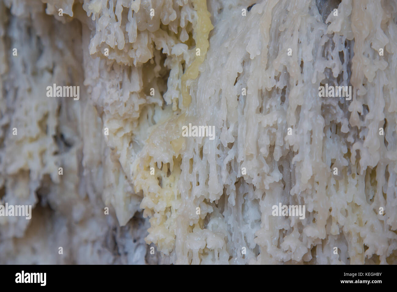 Dripping Wax High Resolution Stock Photography and Images - Alamy