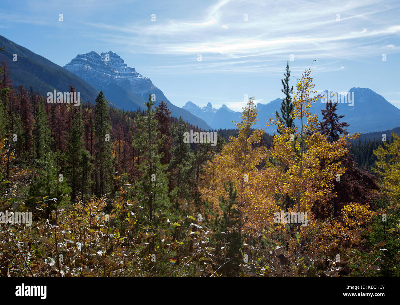 an autumn landscape in Canada with mountains and trees Stock Photo - Alamy