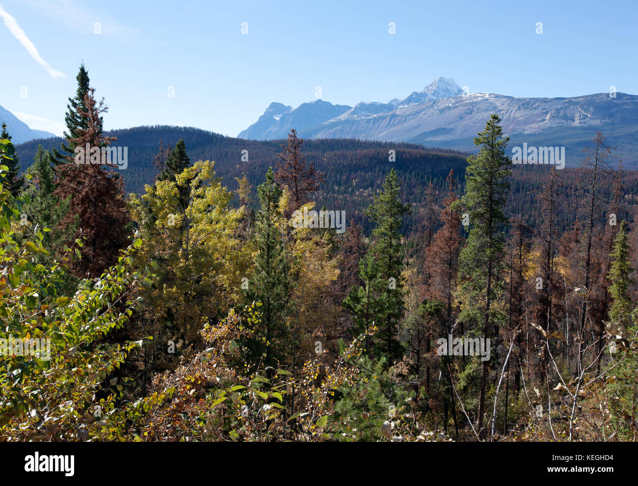 Edith thompson hi-res stock photography and images - Alamy