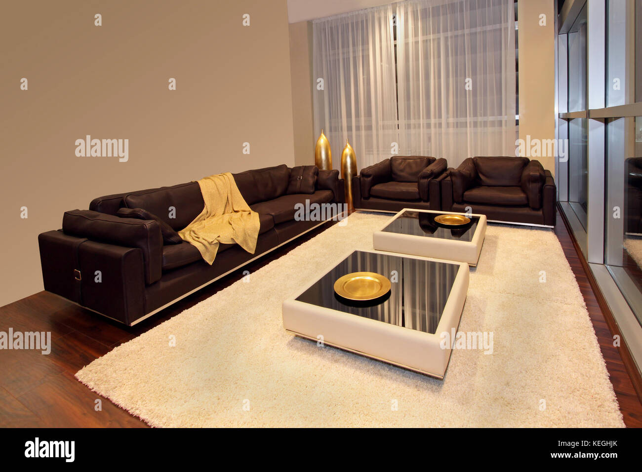 Modern living room interior with large leather sofa Stock Photo - Alamy