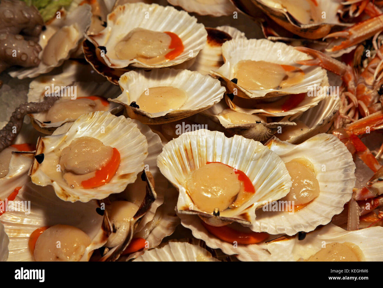 Fresh scallops open shells sold on market Stock Photo - Alamy