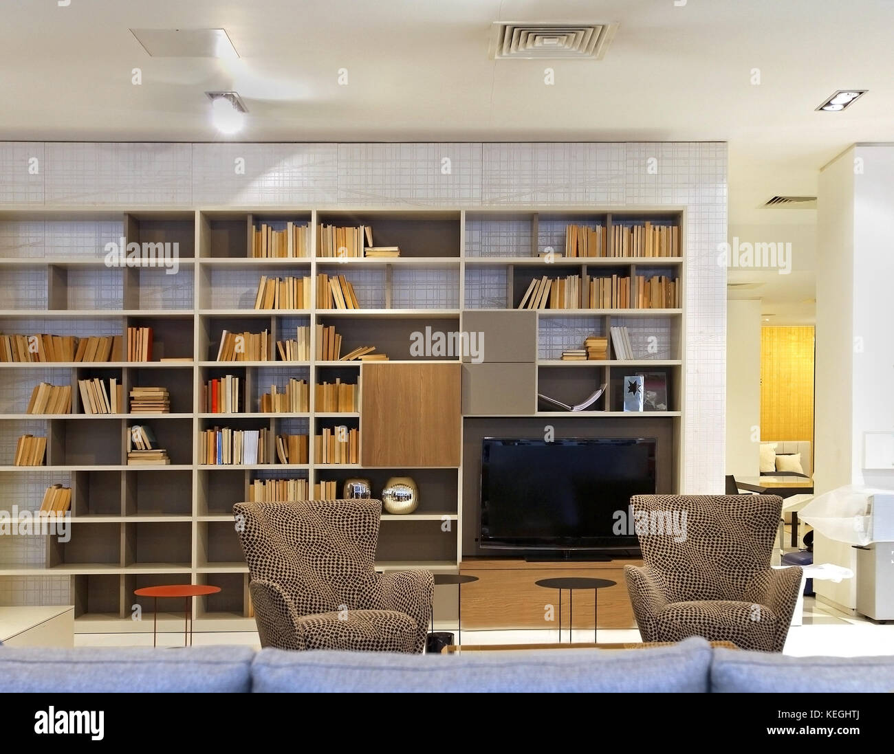 Modern living room interior with large library Stock Photo - Alamy