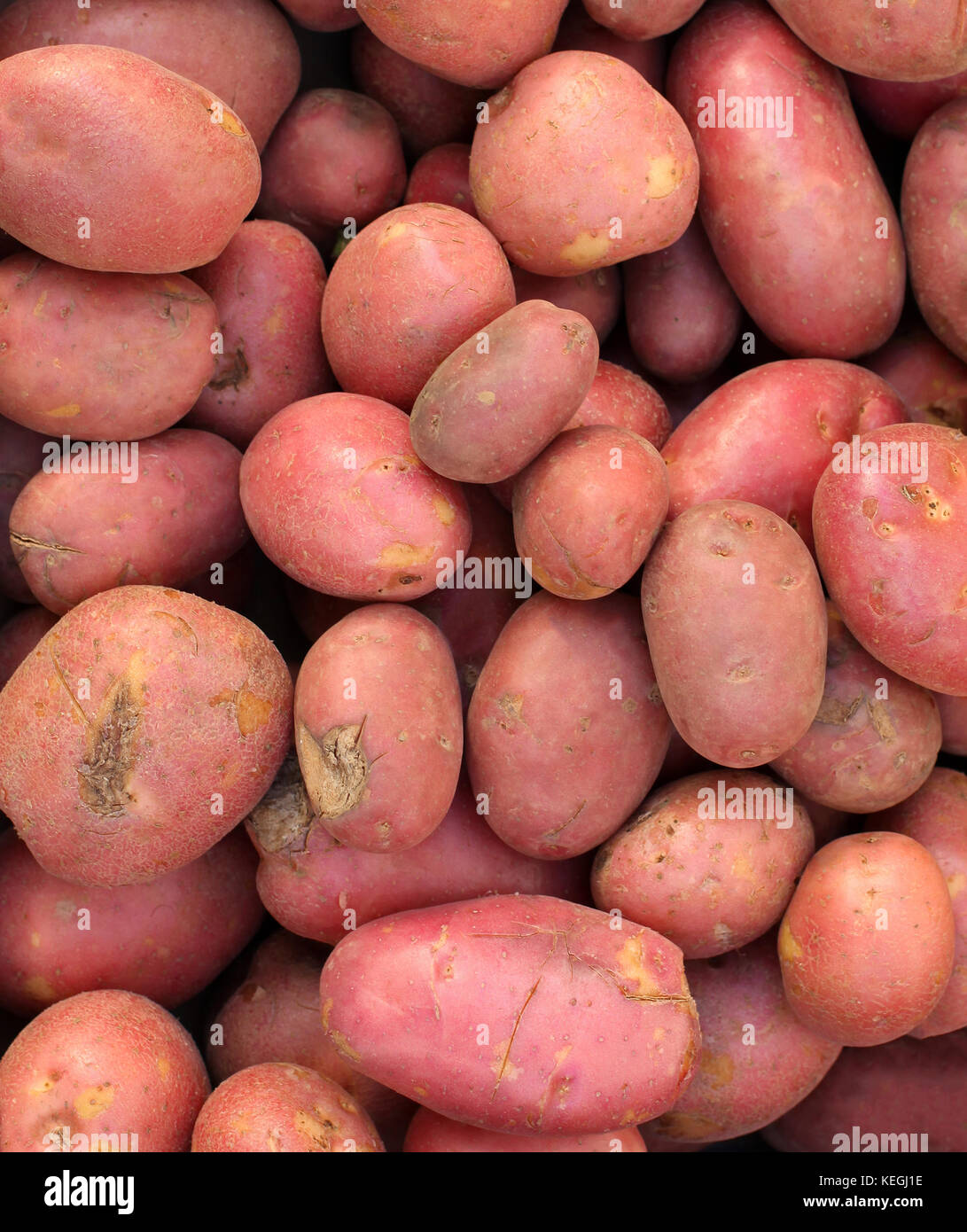 Organic red potatoes pile for sale on green market Stock Photo - Alamy