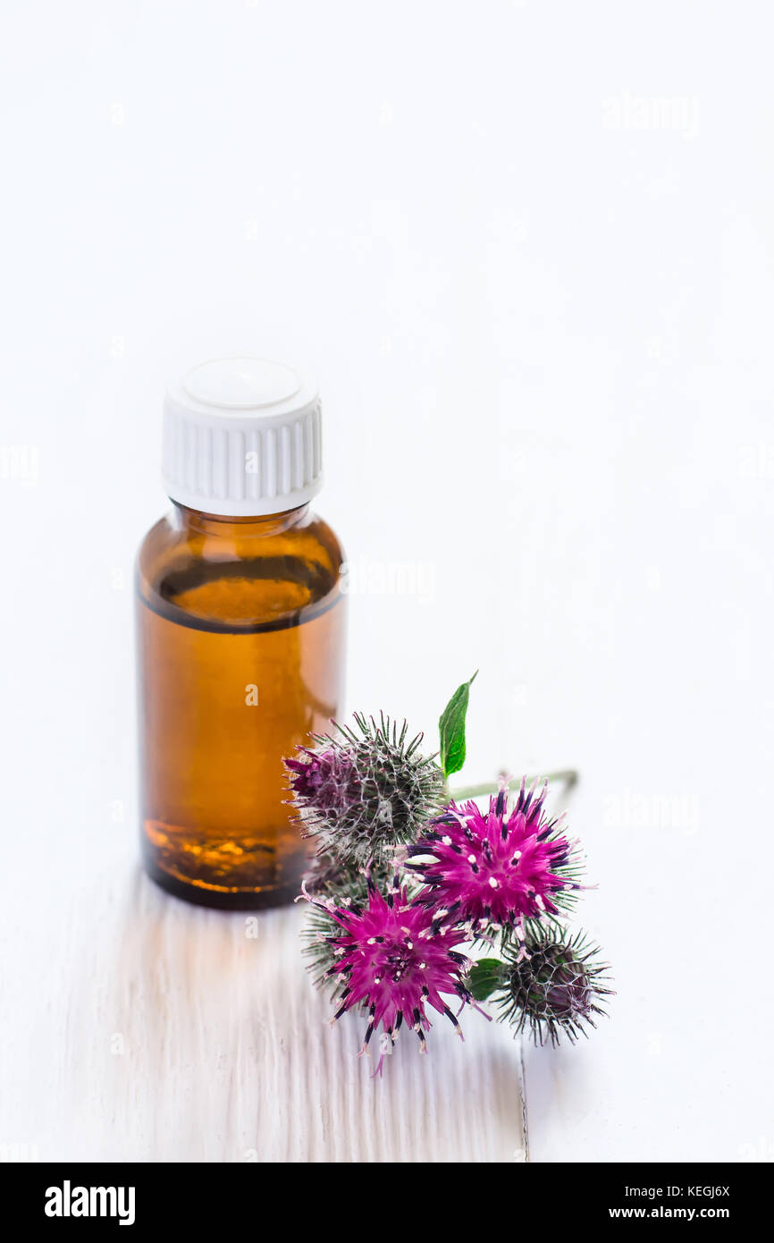 Agrimony burdock Essential oil In small bottle. Flowers spikes and ...