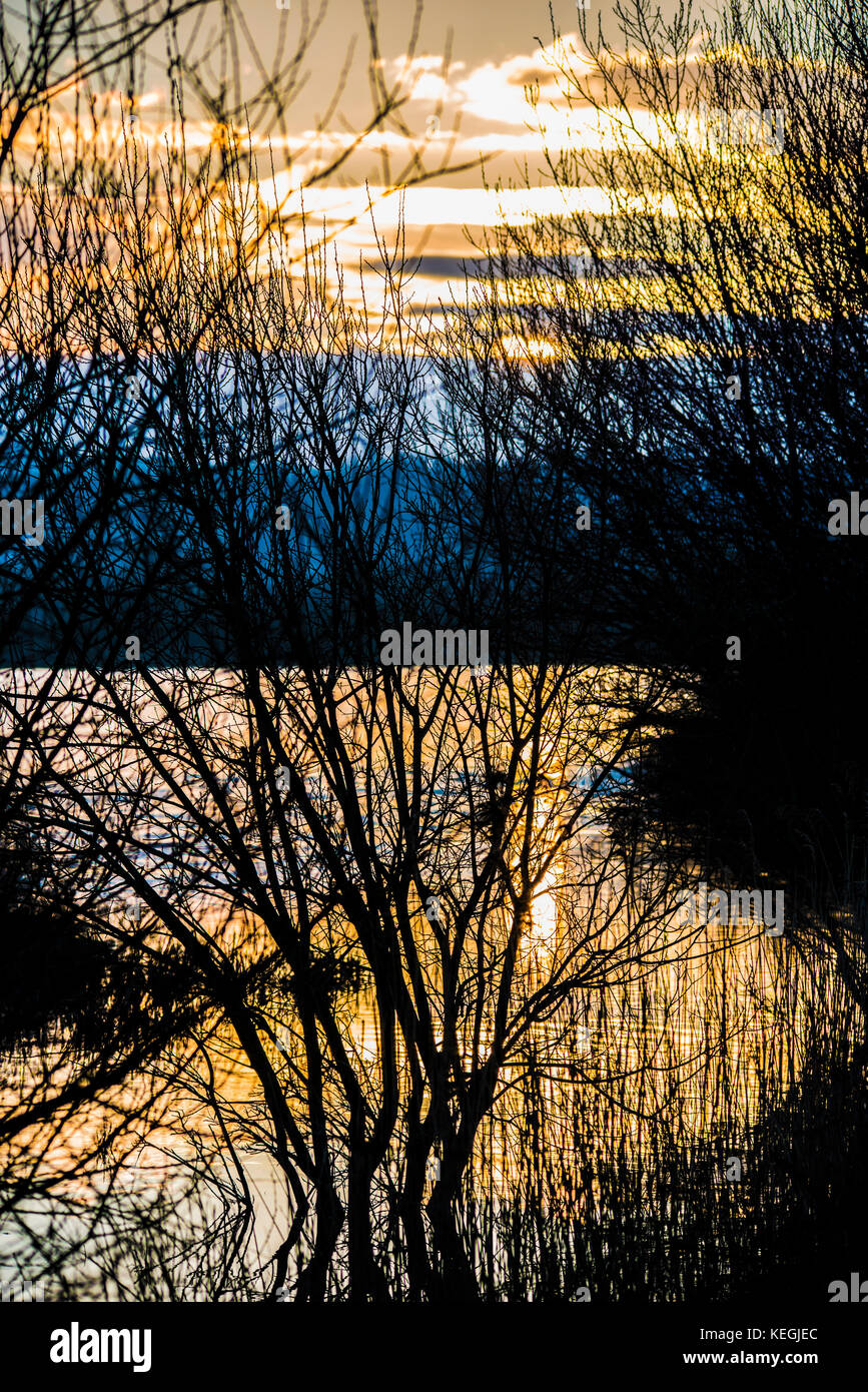 Combe Valley in Winter. This winter-flooded nature reserve near Bexhill ...