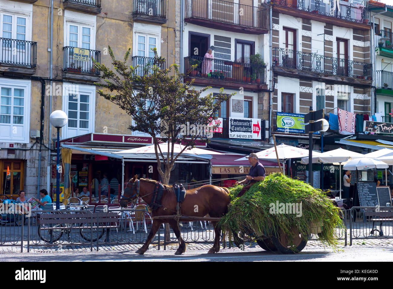 Horse and hay cart hi-res stock photography and images - Alamy