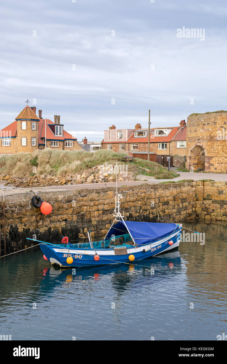 A traditional Coble fishing boat moored in Beadnell harbour on the ...