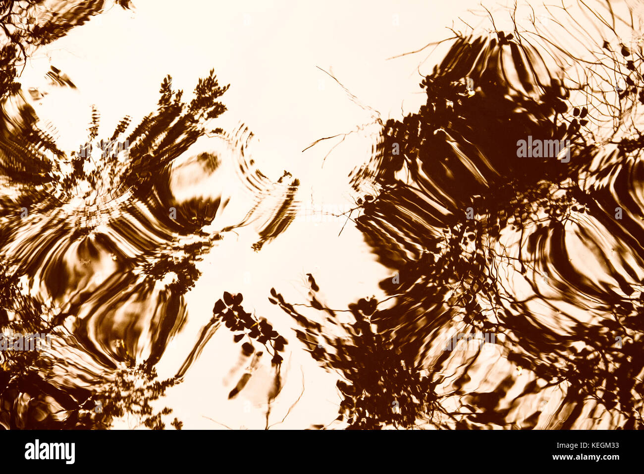 Dark reflection hi-res stock photography and images - Alamy