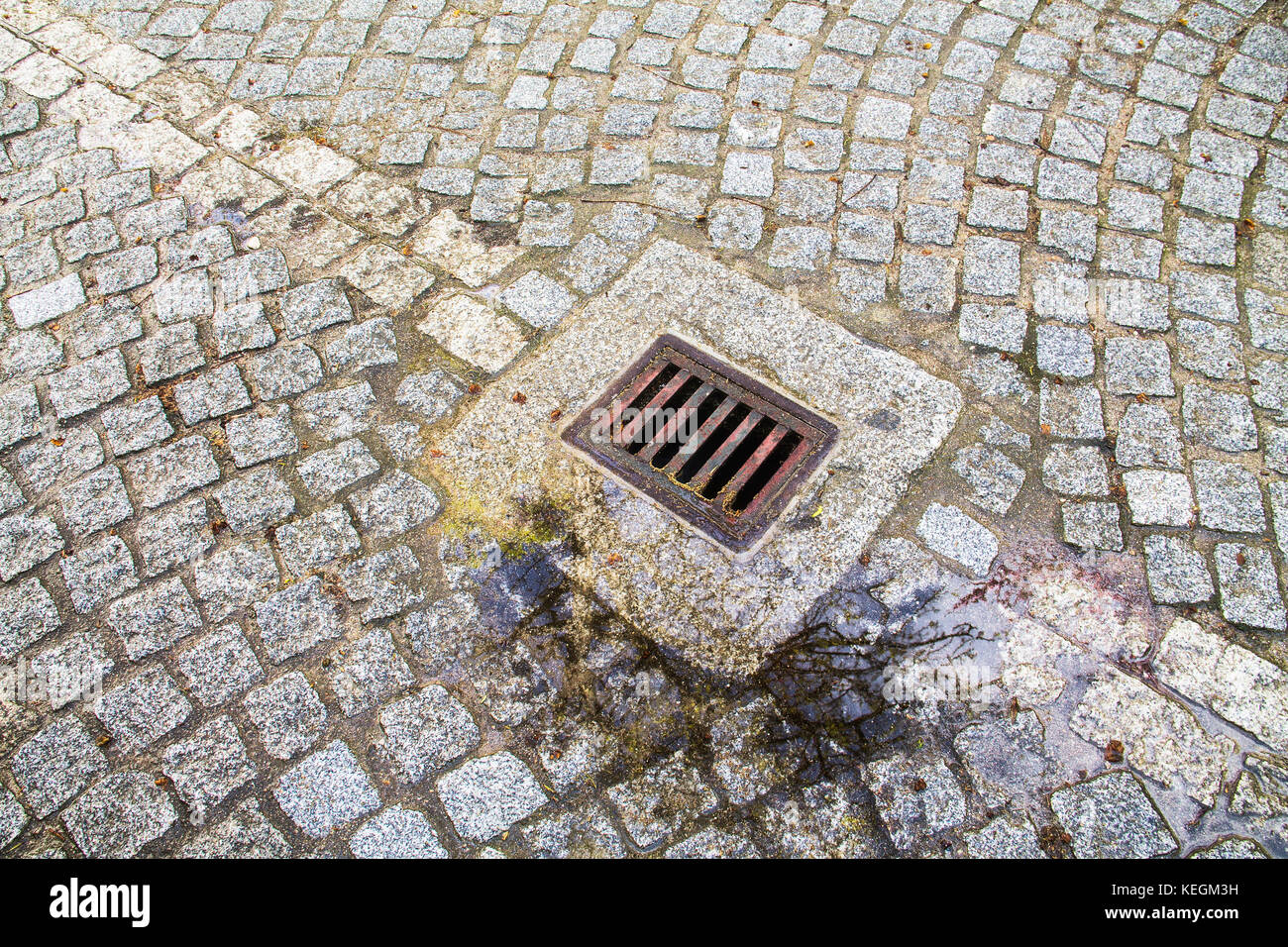Road drain grid hi-res stock photography and images - Alamy