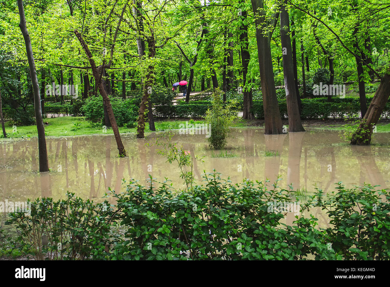 Rain puddles on ground hi-res stock photography and images - Alamy