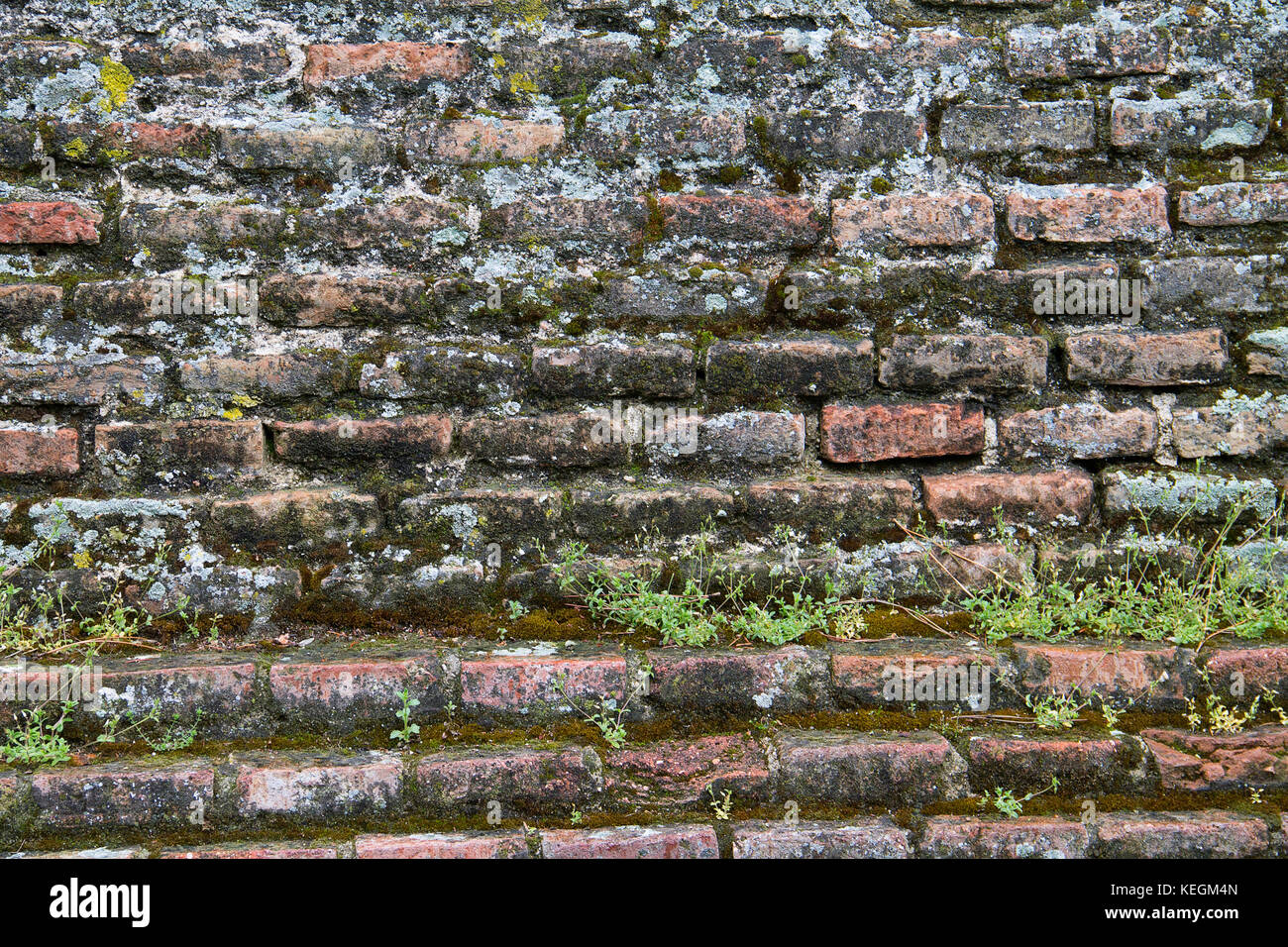 Moss Covered Brick High Resolution Stock Photography and Images - Alamy