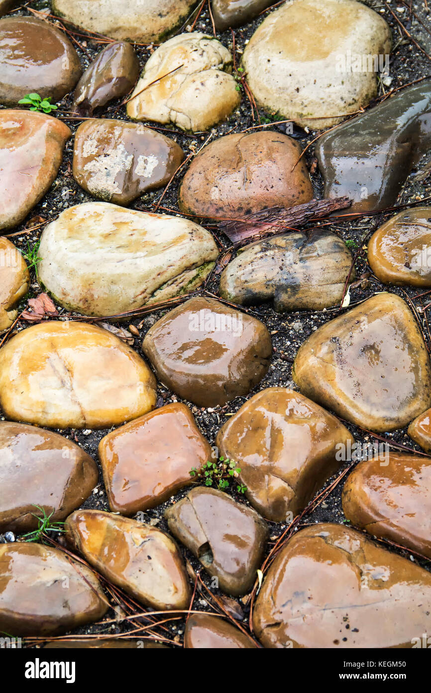 stones surface wetted by the rain Stock Photo - Alamy