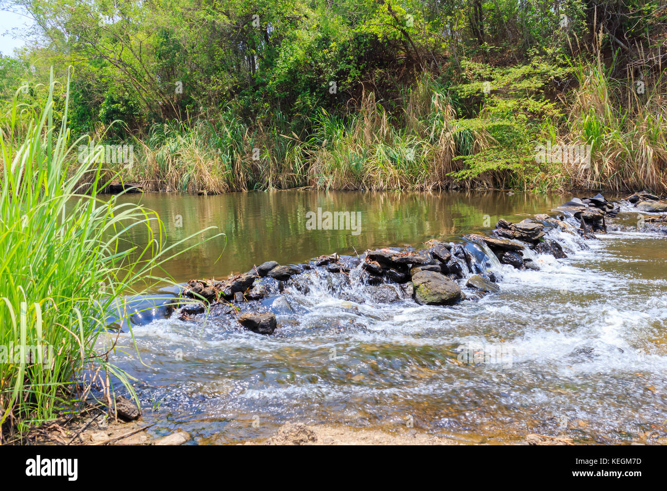 Mysterious rainforest river Image ID:410531620 Stock Photo - Alamy