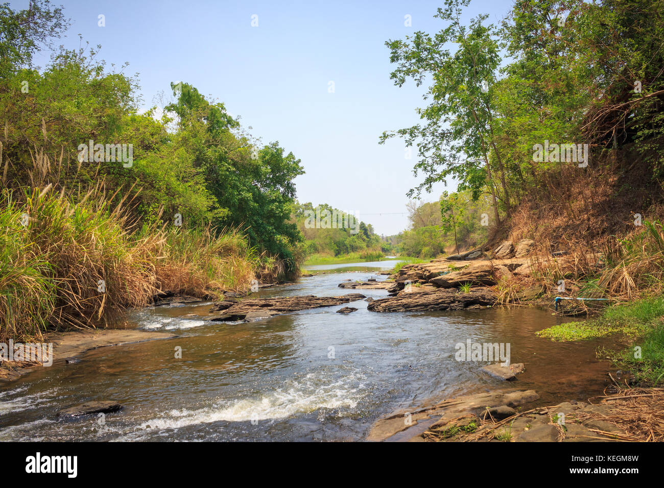 Mysterious rainforest river Stock Photo - Alamy