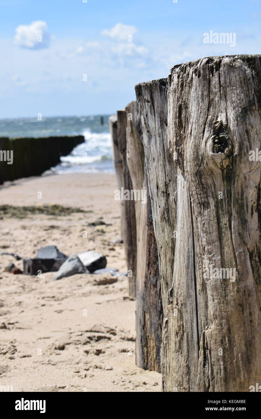 Wooden poles on the beach in the netherlands Stock Photo - Alamy