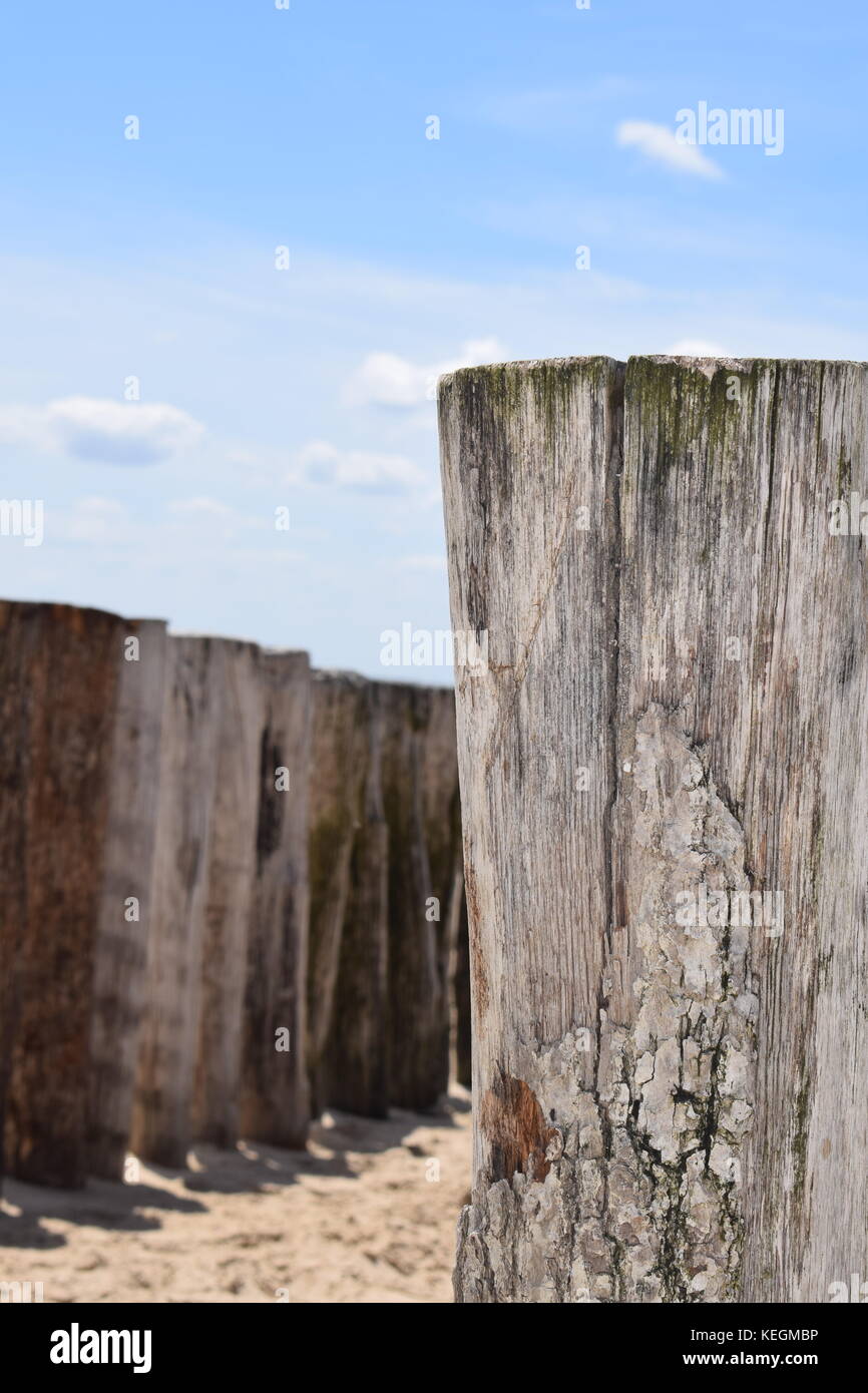 Wooden poles on the beach in the netherlands Stock Photo - Alamy