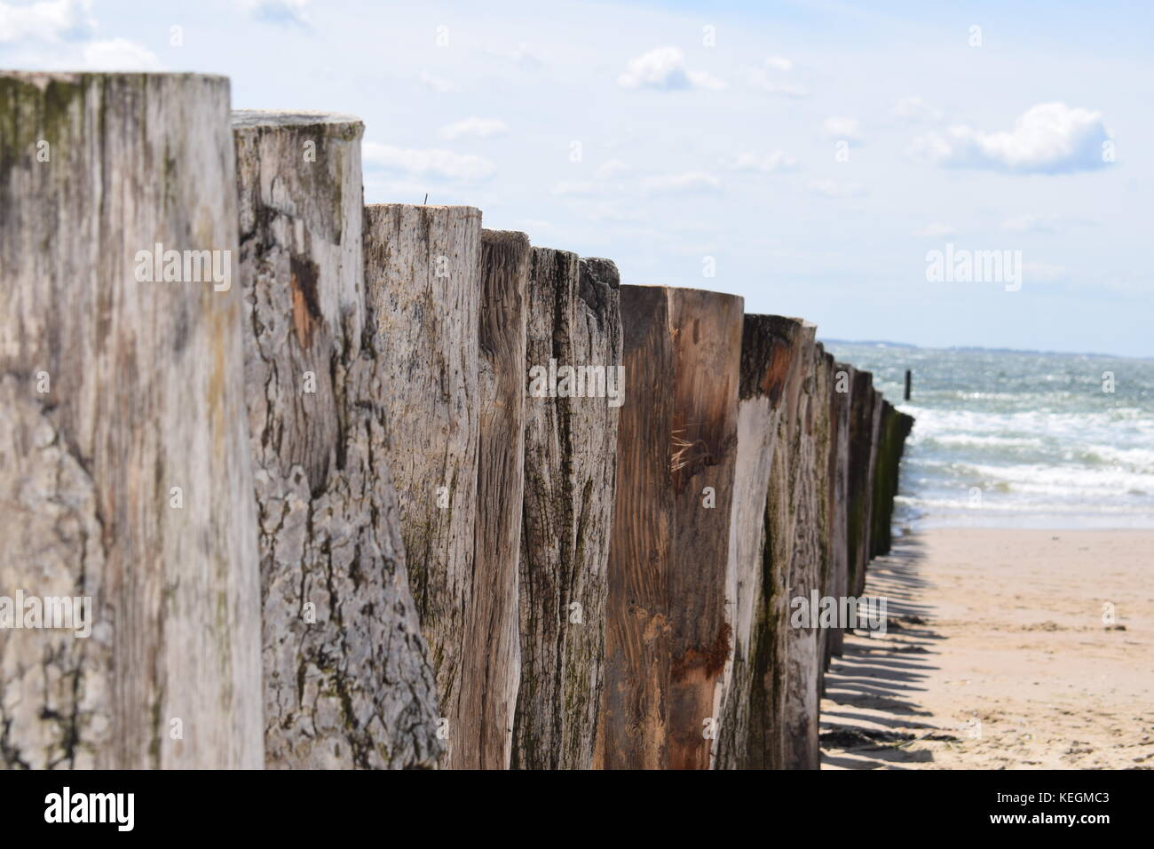 Wooden poles on the beach in the netherlands Stock Photo - Alamy