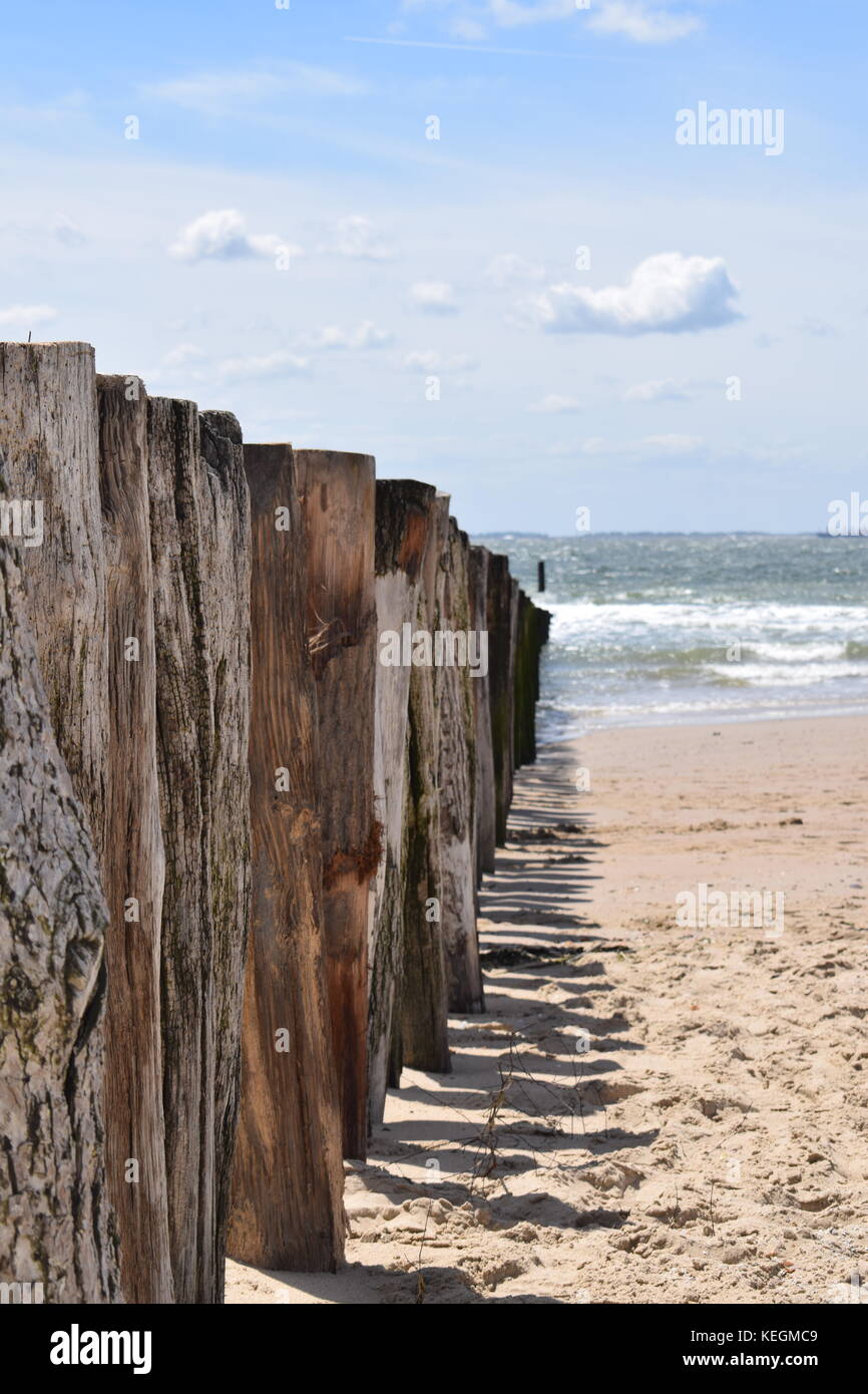 Wooden poles on the beach in the netherlands Stock Photo - Alamy
