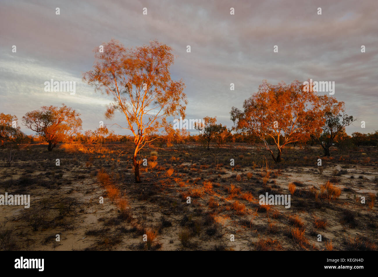 Bushfire outback australia hi-res stock photography and images - Alamy