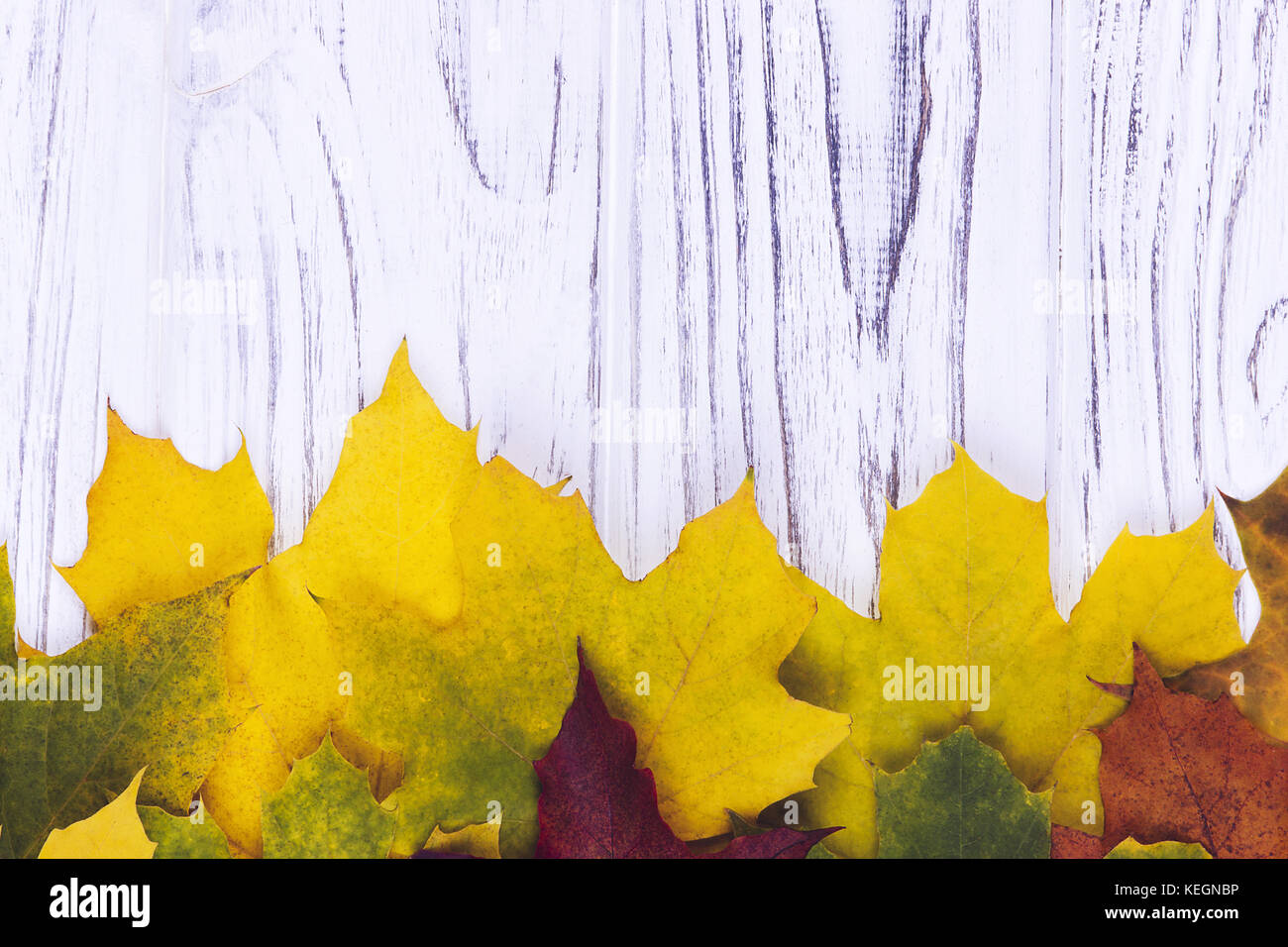 Yellow Autumn leaves over wooden background with copy space Stock Photo ...