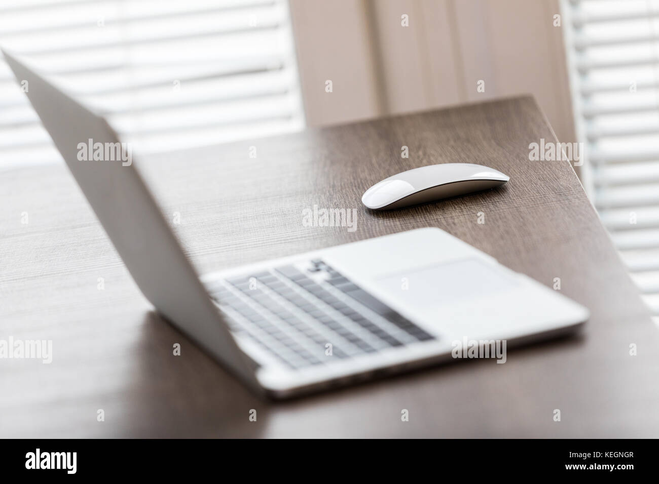 Open modern laptop and cordless mouse on wooden desk in front of a ...