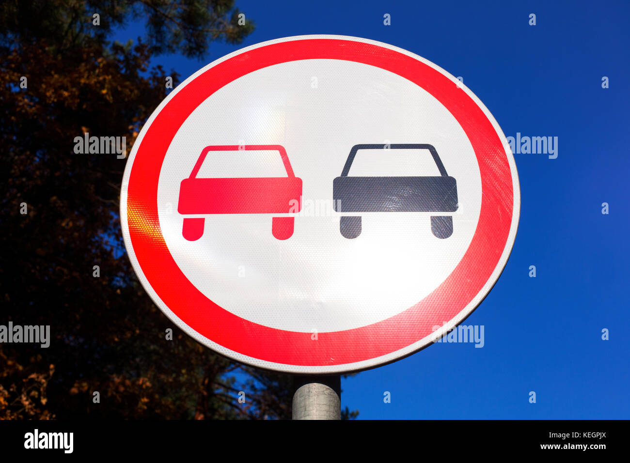 No Overtaking road sign against blue sky and tree Stock Photo - Alamy