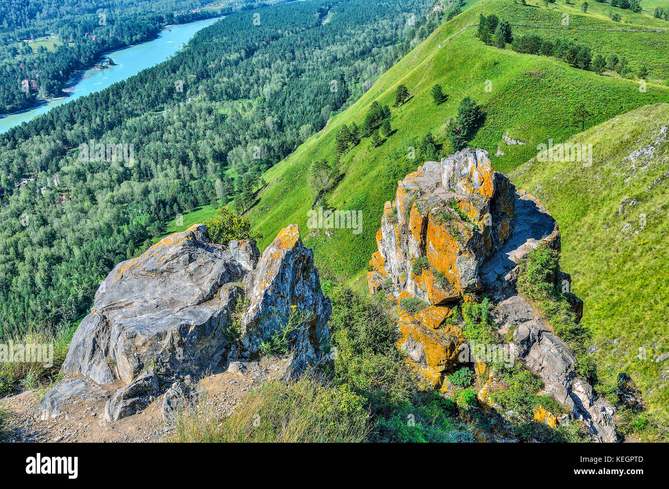Mountain river among forest hi-res stock photography and images - Alamy