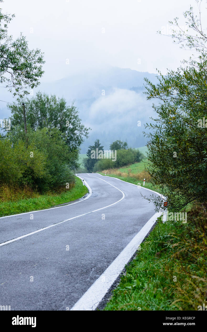 empty road in the countryside with trees in surrounding. perspective in ...