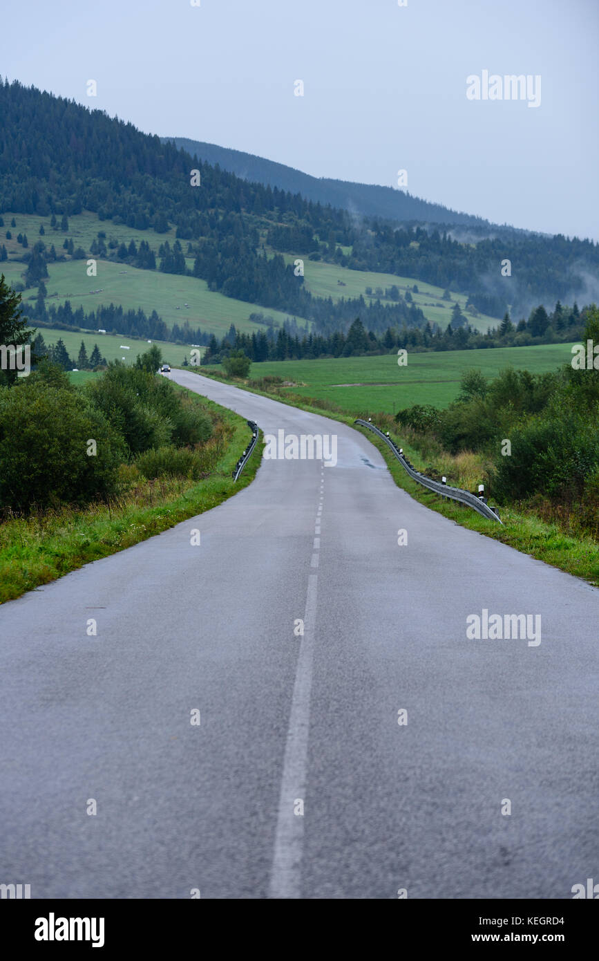 empty road in the countryside with trees in surrounding. perspective in ...