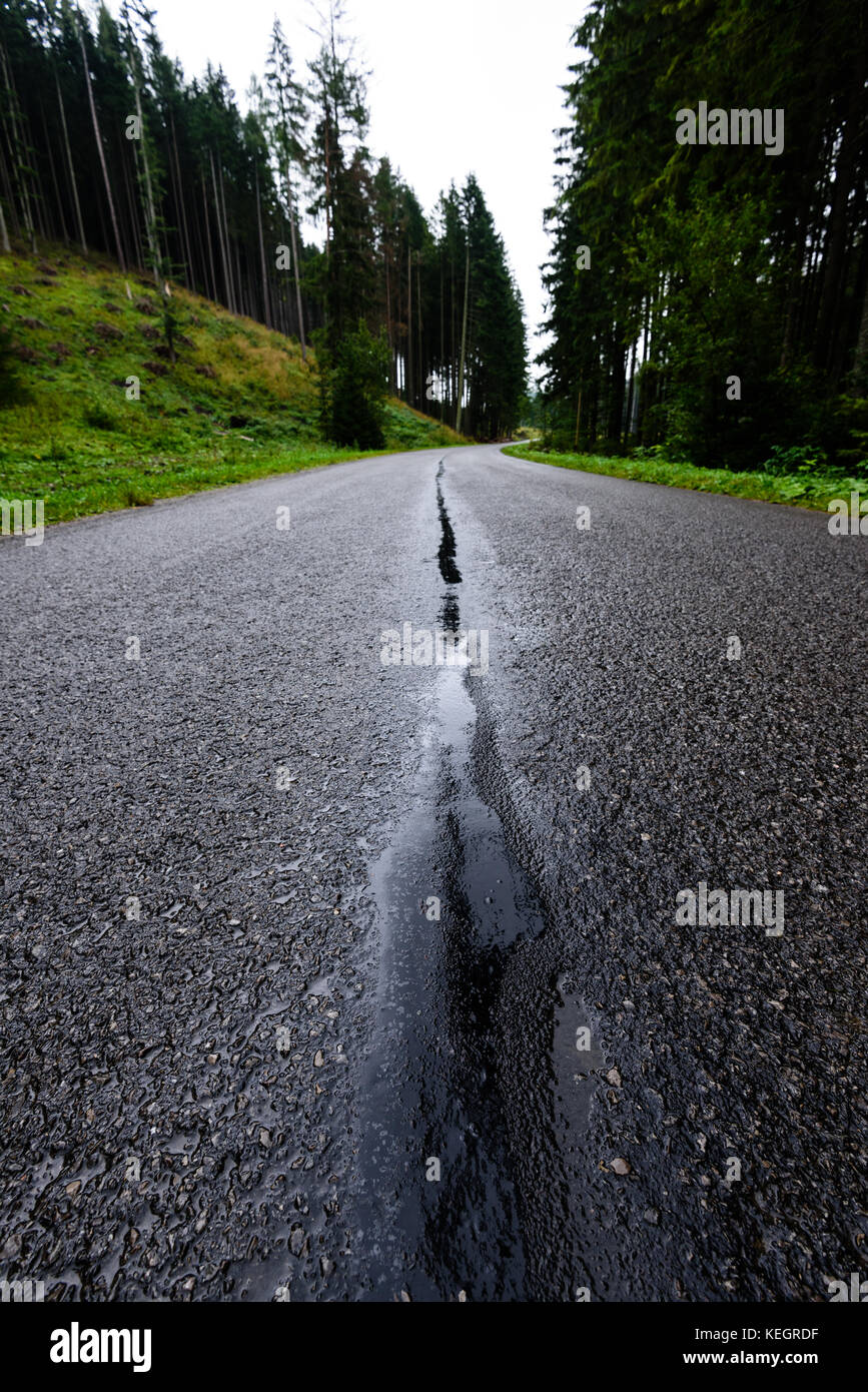 empty road in the countryside with trees in surrounding. perspective in ...