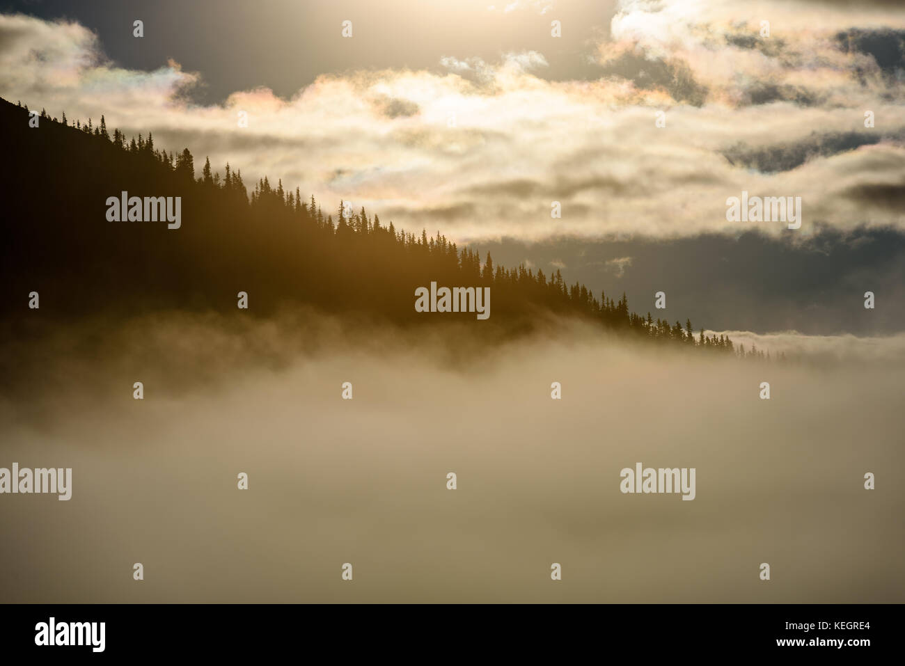 panoramic view of of mountains in misty forest. far horizon Stock Photo ...