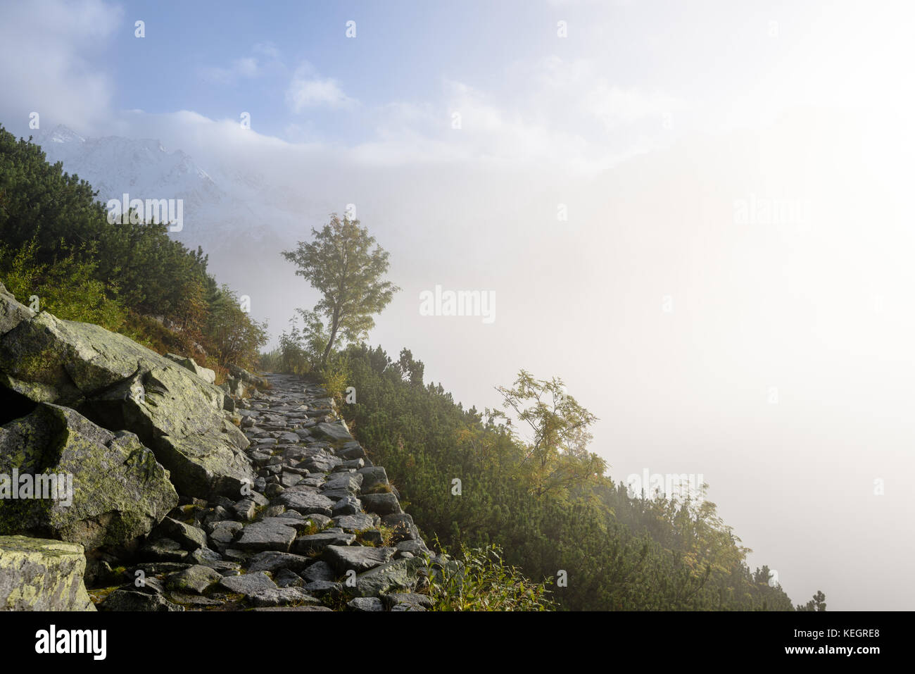 panoramic view of of mountains in misty forest. far horizon Stock Photo ...