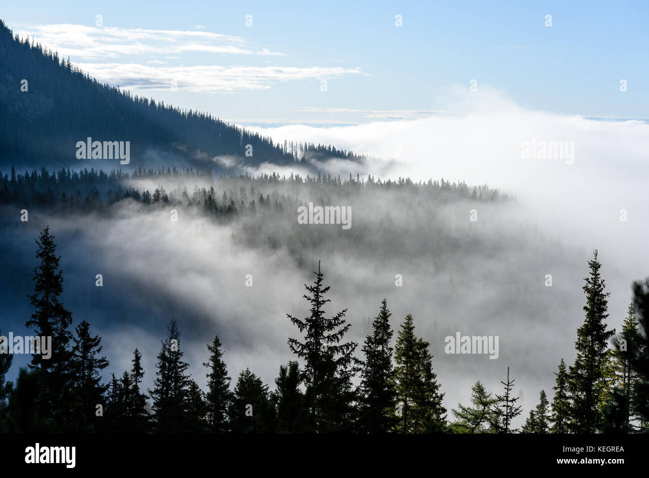 panoramic view of of mountains in misty forest. far horizon Stock Photo ...