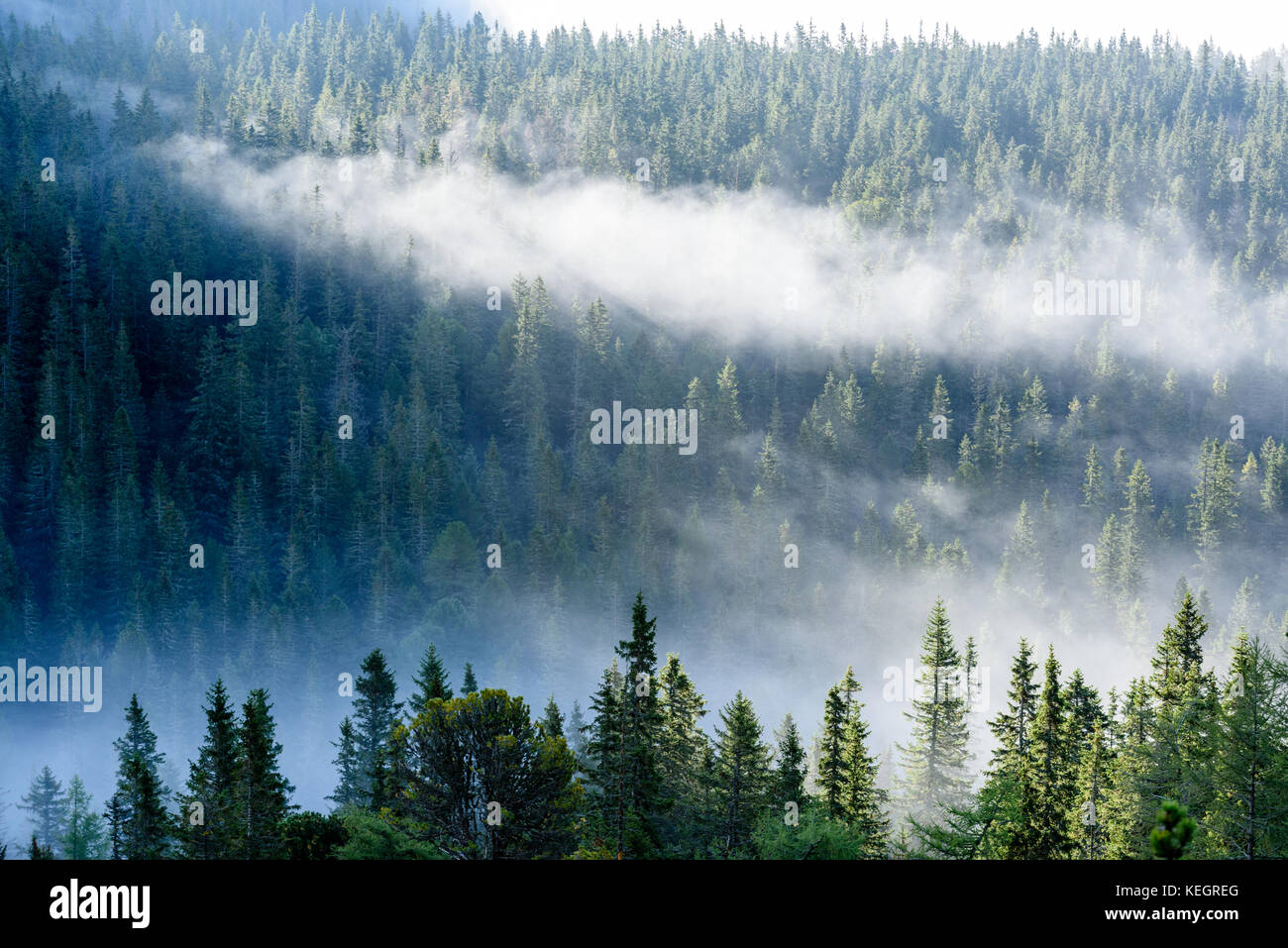 panoramic view of of mountains in misty forest. far horizon Stock Photo ...