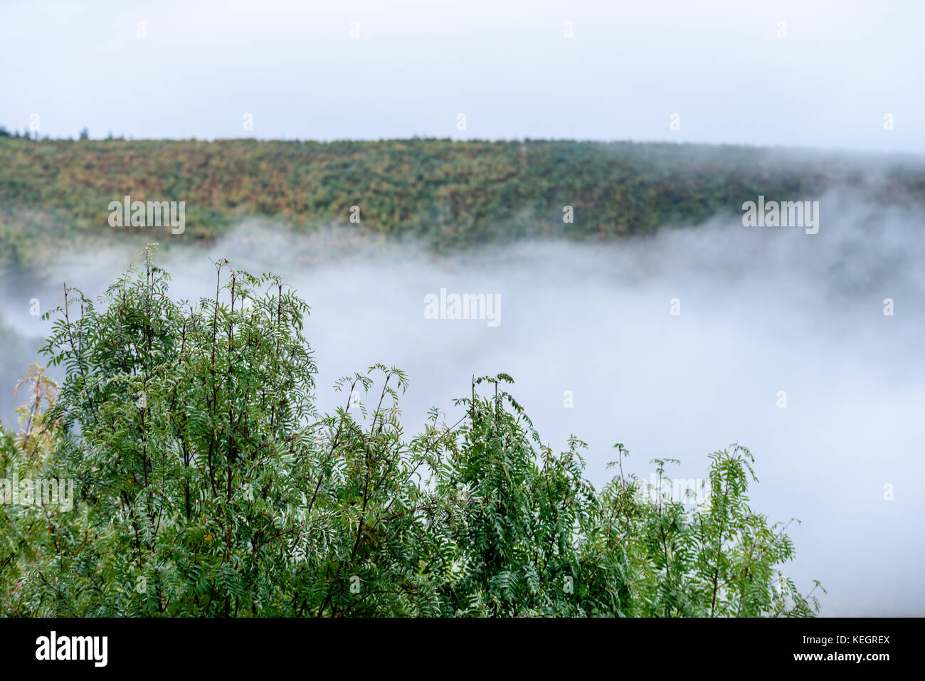 panoramic view of of mountains in misty forest. far horizon Stock Photo ...