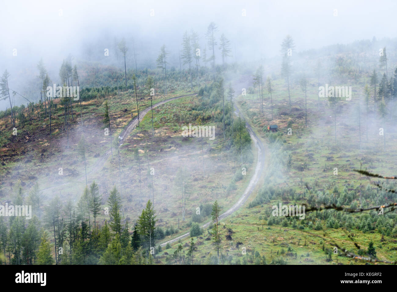 panoramic view of of mountains in misty forest. far horizon Stock Photo ...