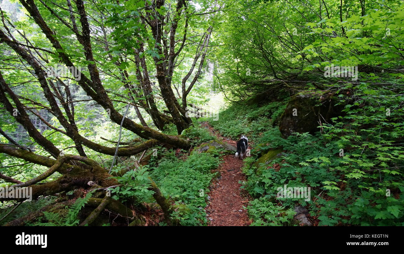 Exploring Washington State, The Great Pacific Northwest Stock Photo - Alamy