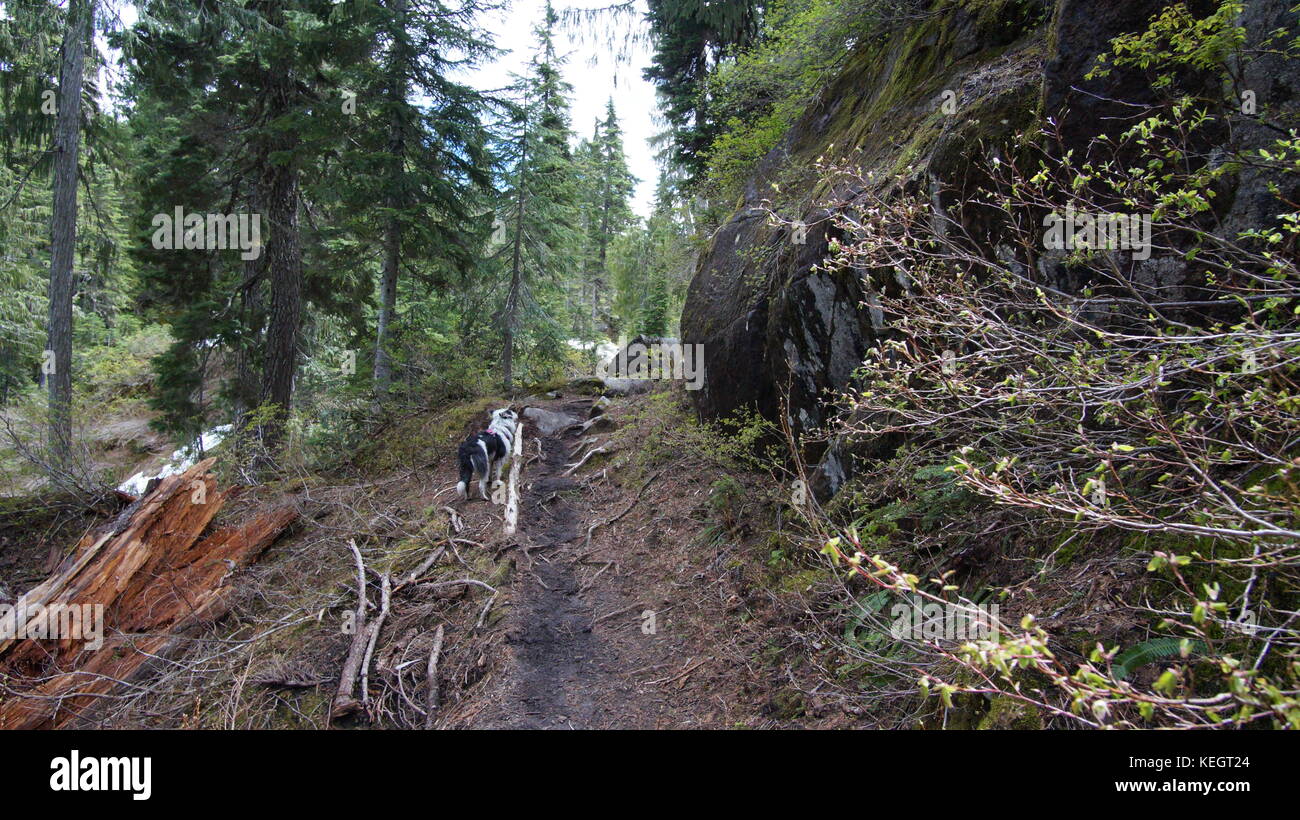 Exploring Washington State, The Great Pacific Northwest Stock Photo - Alamy