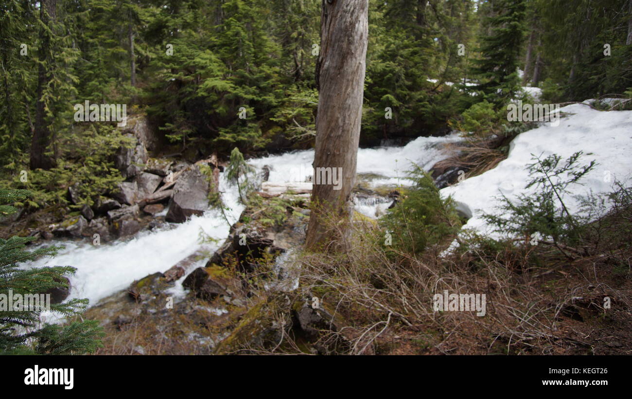 Exploring Washington State, The Great Pacific Northwest Stock Photo - Alamy