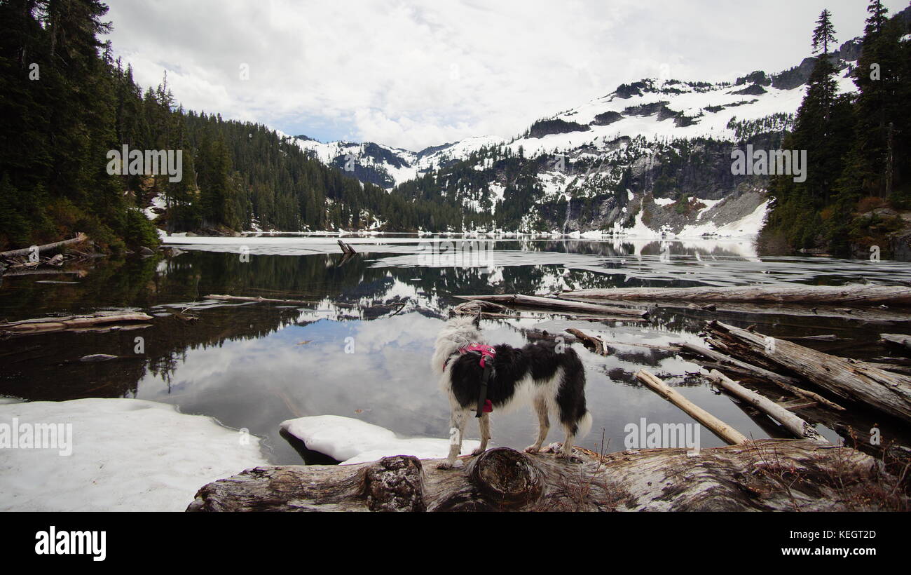 Exploring Washington State, The Great Pacific Northwest Stock Photo - Alamy