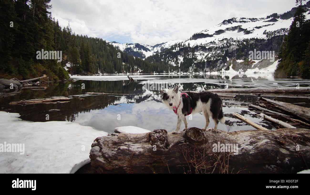 Exploring Washington State, The Great Pacific Northwest Stock Photo - Alamy