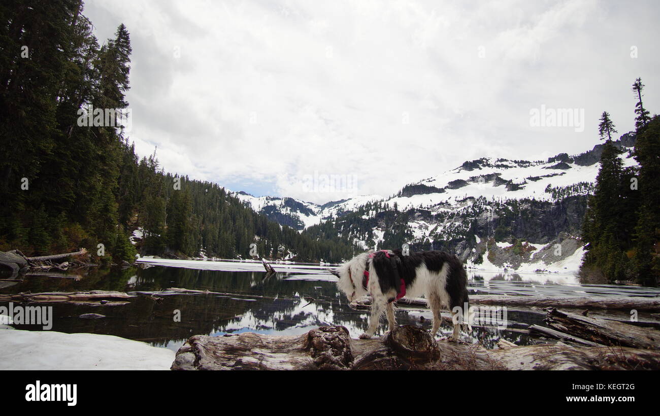 Exploring Washington State, The Great Pacific Northwest Stock Photo - Alamy