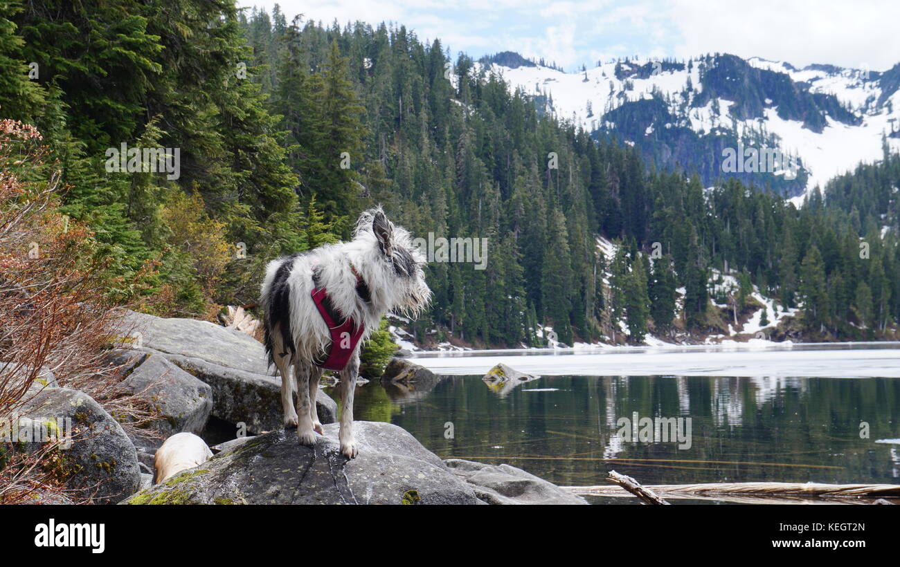 Exploring Washington State, The Great Pacific Northwest Stock Photo - Alamy