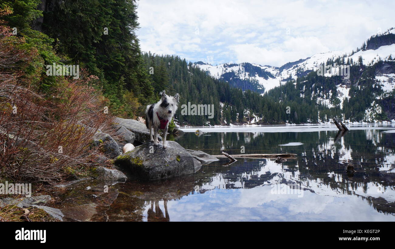 Exploring Washington State, The Great Pacific Northwest Stock Photo - Alamy